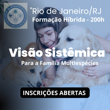 Programa de Formação em Visão Sistêmica Nível Básico - Rio de Janeiro ...